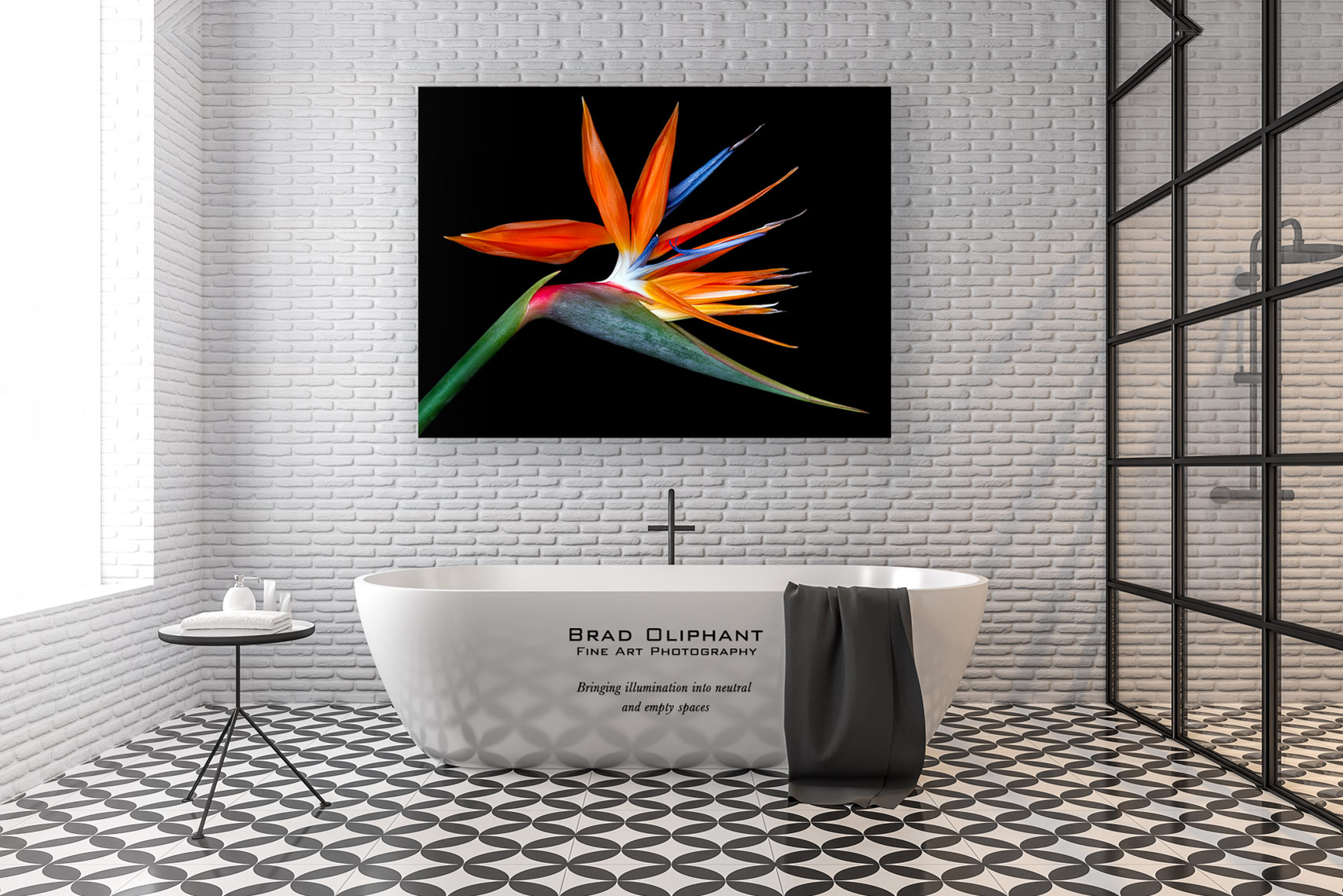 Brad Oliphant Fine Art Photographer - Floral Photographer - Nature ...